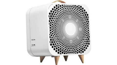 BLUEAIR Pure Fan Auto Review - Air Purifier